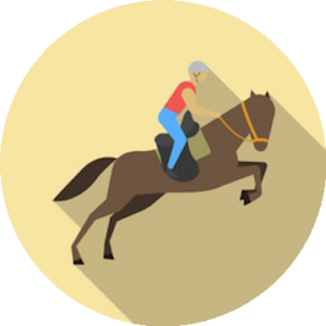 Ecole d’équitation